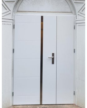 Fargo 41A - contemporary single front door Domadeco